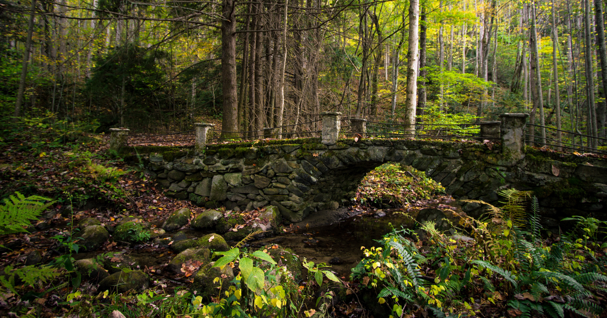 Discover Fairy Villages and the Troll Bridge in the Smokies - Blount ...
