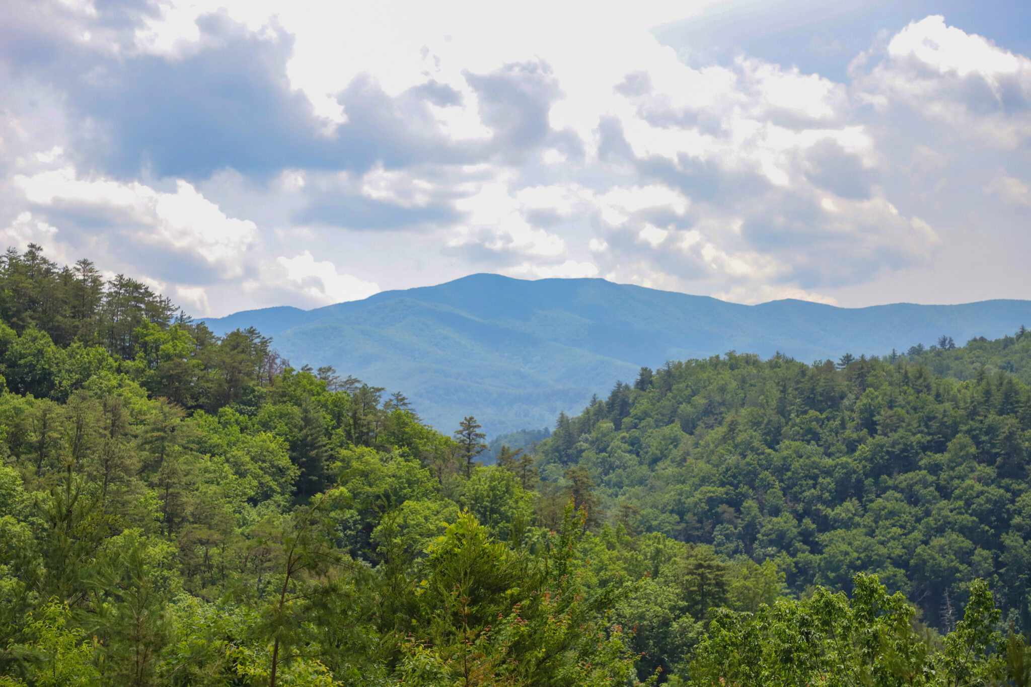 Shutdown Travel Guide to the Peaceful Side of the Smokies - Blount Tourism
