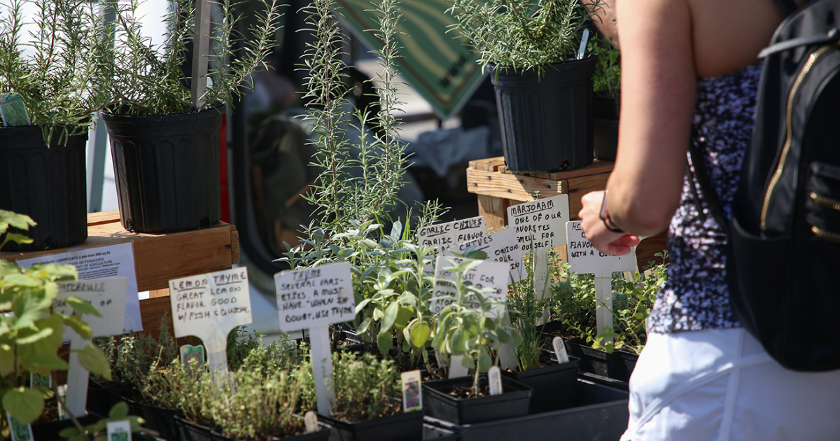 Where to Shop Farm-Fresh Goods in Maryville - Blount Tourism